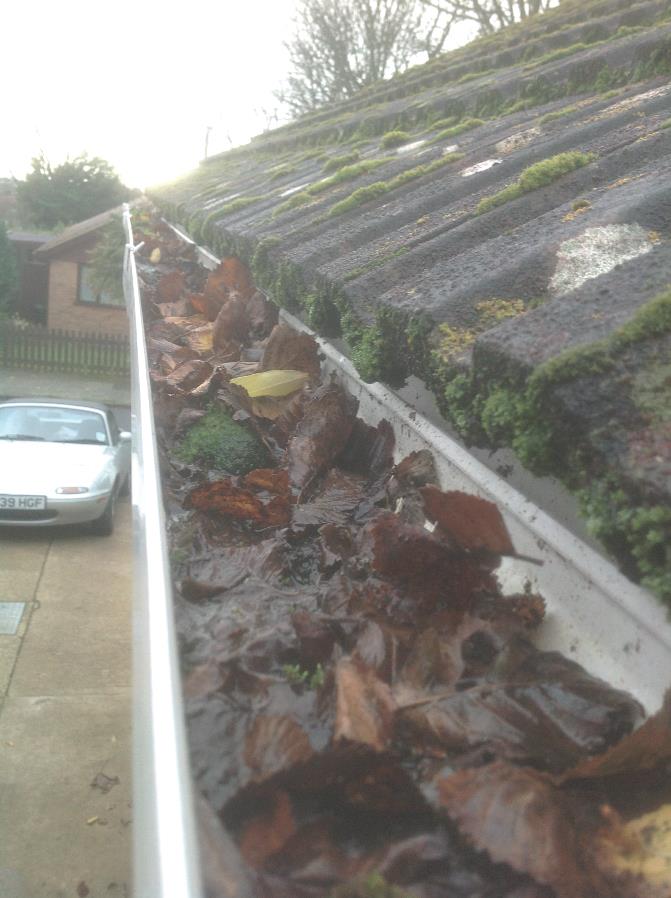 Gutter Clearance | Clean Cut Gardening Services