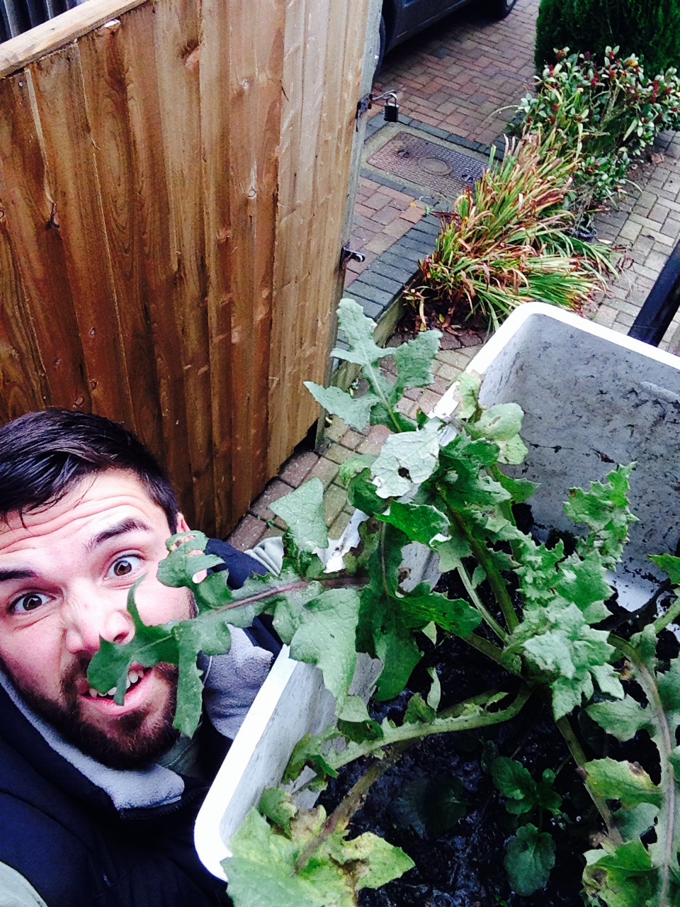 Gutter Clearance | Clean Cut Gardening Services